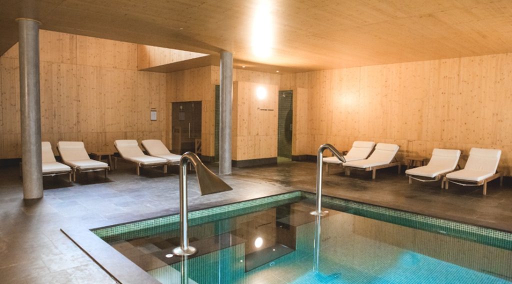 Swim Spas: The Perfect Addition to Your Home Wellness Routine ...
